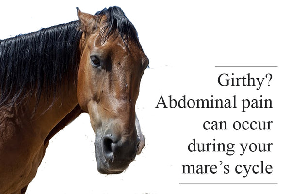 Moody Mare - Equus Care Nutrition